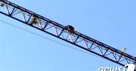 고공농성 건설노동자 40m아래로 추락해 부상