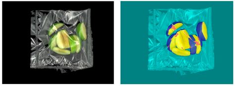 Applied Sciences Free Full Text Semantic Segmentation Of Packaged And Unpackaged Fresh Cut