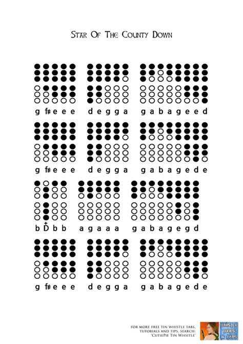 Star Of The County Down Tin Whistle Tabs Tutorial