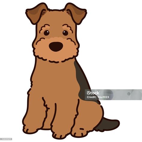 간단하고 사랑스러운 웨일스 어 테리어 일러스트 레이 션 정면보기에 앉아 가공의 인물에 대한 스톡 벡터 아트 및 기타 이미지