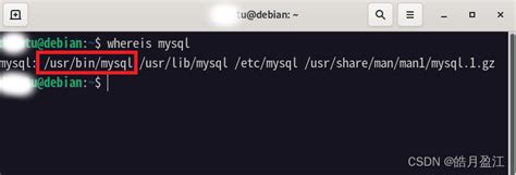 linux debian安装dbeaver连接mysql8、导入和导出数据库详细教程 linux安装dbeaver csdn博客