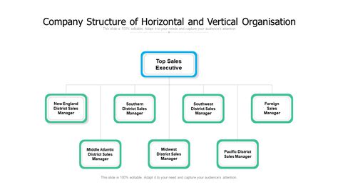 Top 10 Company Structure Samples With Templates And Examples