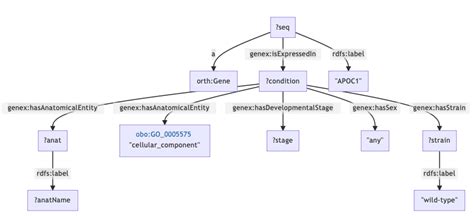bgee knowledge graph tutorial