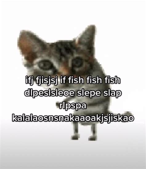Found This On Tiktok R Ihadastroke
