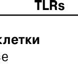Pattern Recognition Receptors Of DC In Viral Hepatitis C Download Scientific Diagram