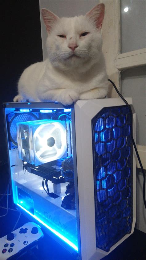 Human You Really Bought An RTX To Look At Porn R Pcmasterrace