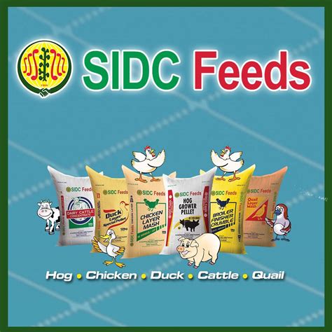 Sidc Bambang Feeds Outlet
