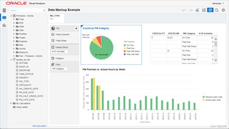 Oracle Primavera Analytics 是什么，与p6的关系？oracle Analytics Csdn博客