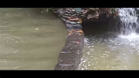 First Project Youtube