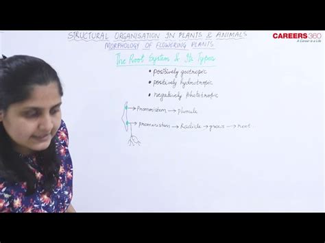 Root System MCQ Practice Questions Answers