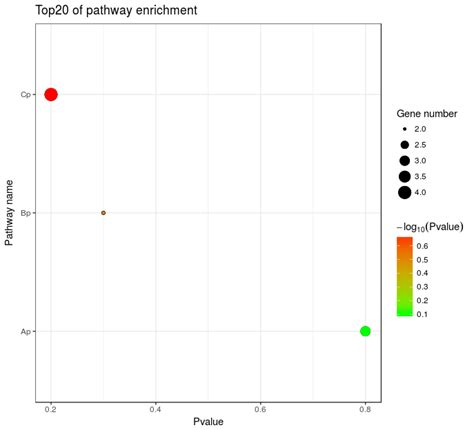 Pathway富集分析气泡图 Csdn博客