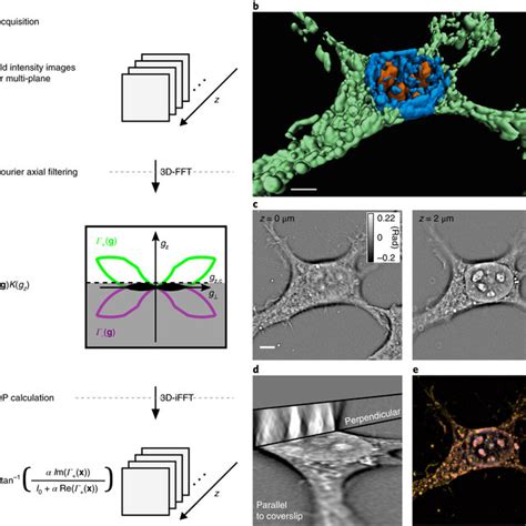 Combined Multi Plane Phase Retrieval And Super Resolution Optical Fluctuation Imaging For 4d