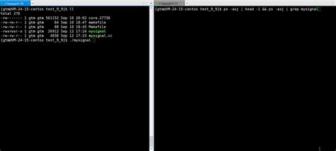 Linux从入门到精通信号信号保存 信号的处理