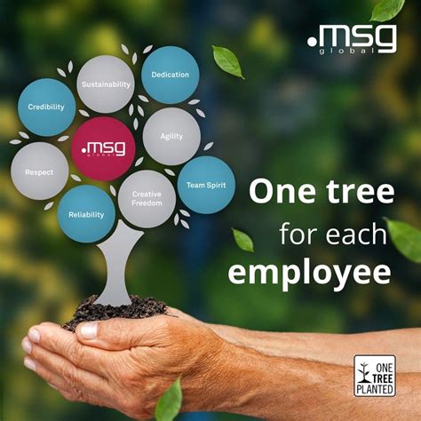 Hello World 🌎 We Are Msg Global And Aware About Our Responsibilities