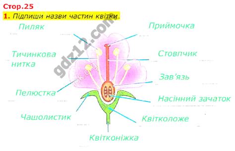 ГДЗ Біологія 7 клас Тагліна О В Самойлов А М 2024 рік Робочий зошит ГДЗ Готові домашні