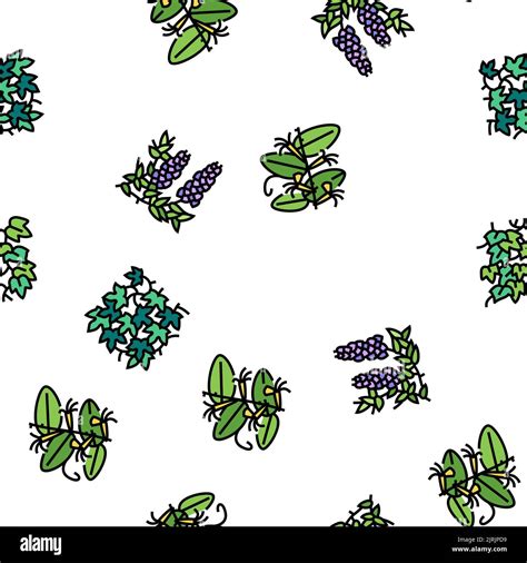 Vine Liana Exotic Growing Plant Vector Seamless Pattern Stock Vector