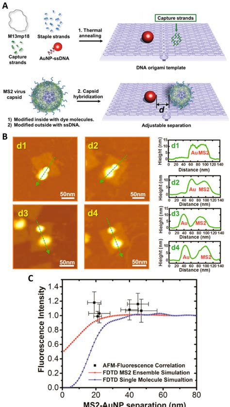 Assembly Of Hierarchical Plasmonic Nanostructures A Schematic For