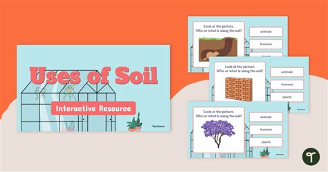 Uses Of Soil Interactive Activity Teach Starter