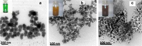 Schematic Representation For Fabricating Csn Pbmno 2 Cloth 78