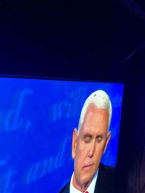 Ali Alilauder Twitter