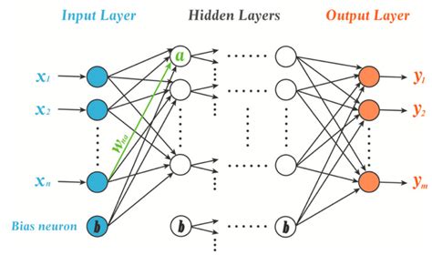 architecture of multi layer perceptron mlp [18] download