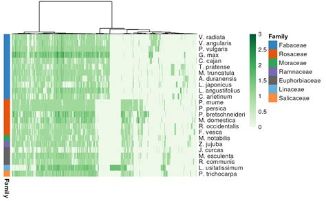 plot a heatmap of phylogenomic profiles — plot profiles syntenet