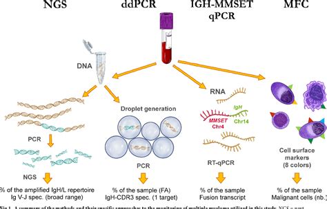 Figure 1 From Liquid Biopsy Based Monitoring Of Residual Disease In Multiple Myeloma By Analysis