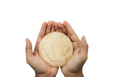 Apa Itu Scoby Dan Fungsinya Wiki Kombucha