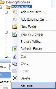 Creating A DotNetNuke Module For Absolute Beginners CodeProject