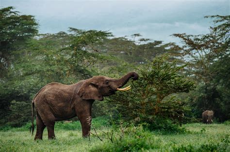 Postgresql Cost Based Optimizer For Better Query Performance