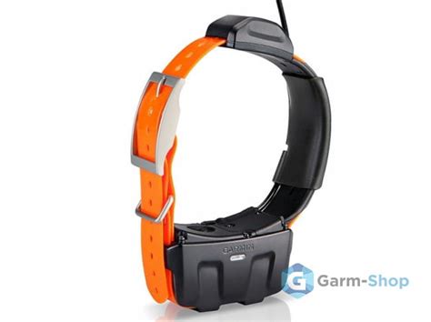 Ошейник Garmin DC 50 Russia 010-01133-F2 - Товары для дрессировки собак ...