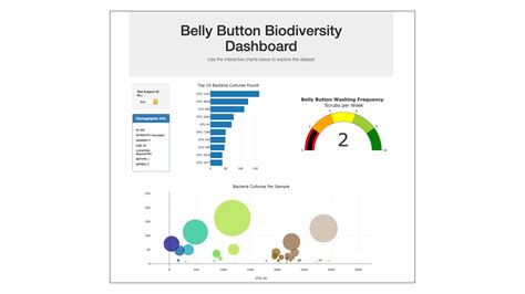 GitHub Harvinlong Plotly Belly Bottom Biodiversity