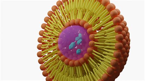 Liposome Vesicle 3d Model By Esfey