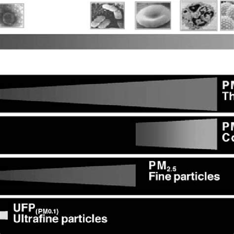 Classification Of Particulate Matter According To Its Dimensions Brook