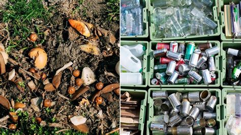 Composting Vs Recycling Understanding The Differences