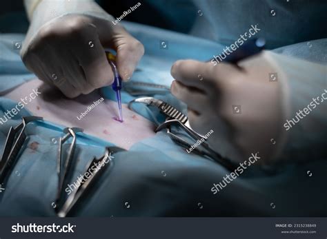 Veterinary Surgery Journal