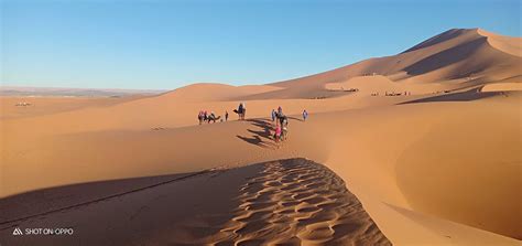 2박3일 모로코 메르주가 사막투어
