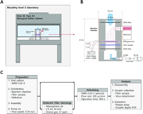 Experimental Setup Schematic Diagram Not Correctly Scaled Of The A Download Scientific