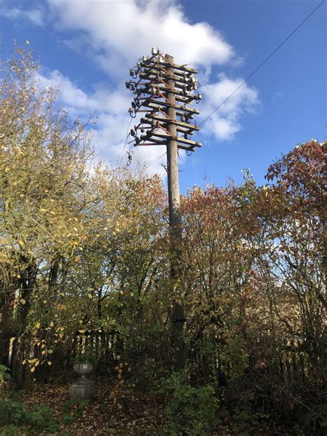 The Telegraph Pole Appreciation Society What It Says