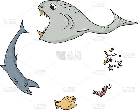 海洋食物链卡通