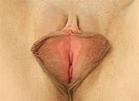 Different Pussy Shapes And Size Repicsx Com