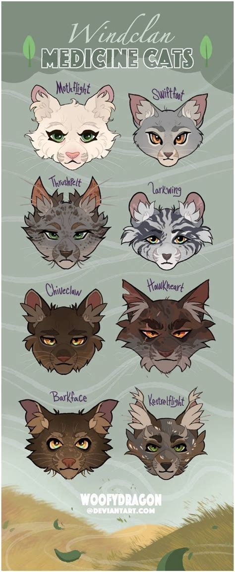 Windclan 🍃 Medicine Cats Warrior Cat Drawings Warrior Cats Clans