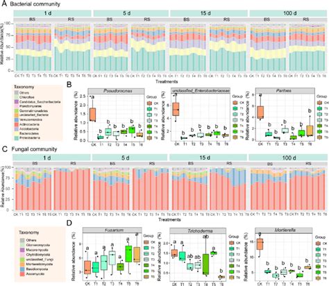 Taxonomic Classification Of Bacterial And Fungal Communities At Phylum