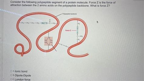 Solved Consider The Following Polypeptide Segment Of A