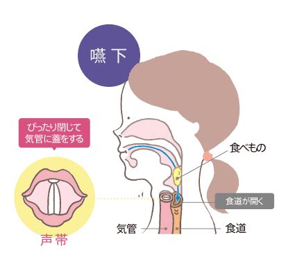 会話不足が のどの老化”を進める！？声の変化の改善を目指すトレーニング ロート製薬 太陽笑顔fufufu