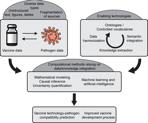 Frontiers Computational Tools And Data Integration To Accelerate Vaccine Development