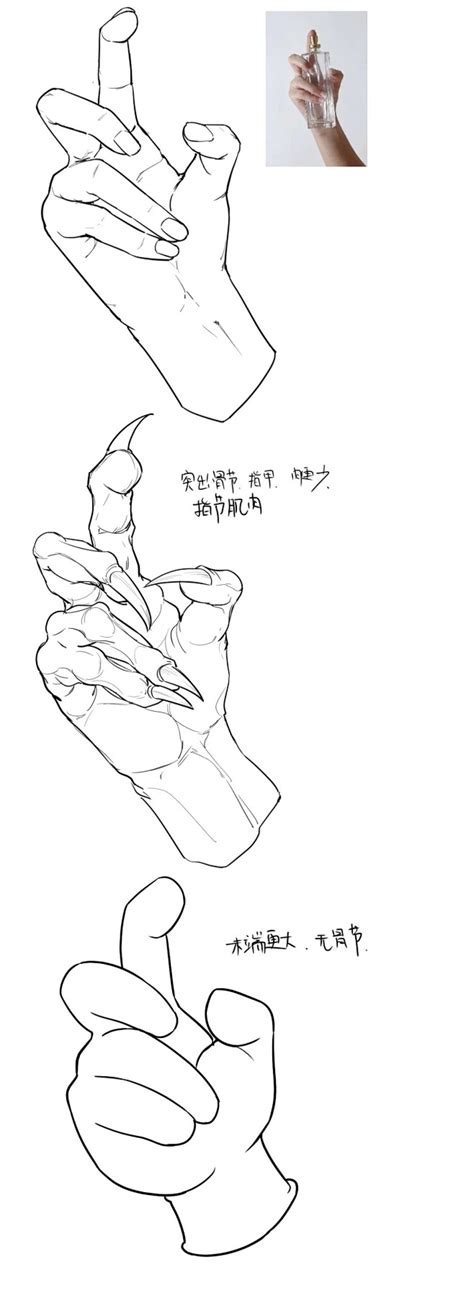 透视练习（手部变形 1 三九draw 来自小红书网页版