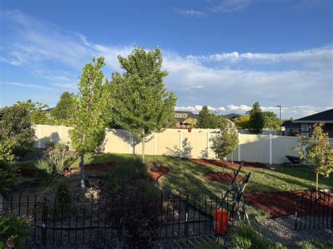 Removing Grass Planting Trees Rlandscaping Removing Grass Planting Trees Rlandscaping