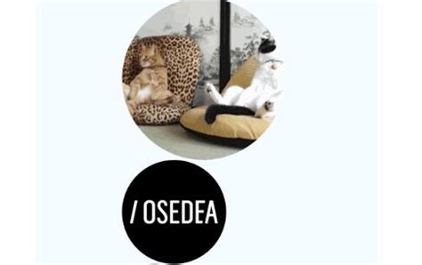 An Avatar Allowing You To Click On It To Change The Image