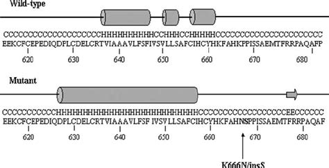 The Secondary Structure Of The Ret Protein In The Vicinity Of The